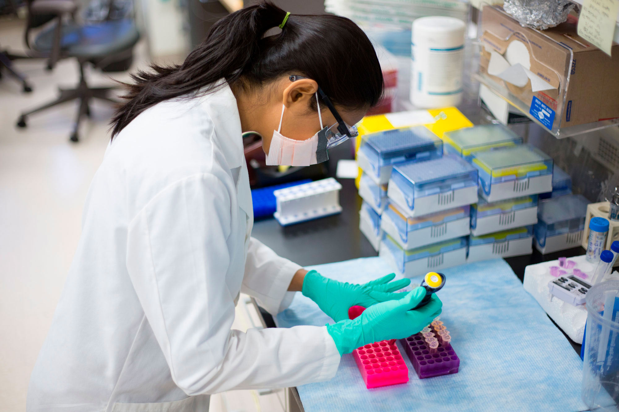 Training - Fellowships & Programmes - IKCA